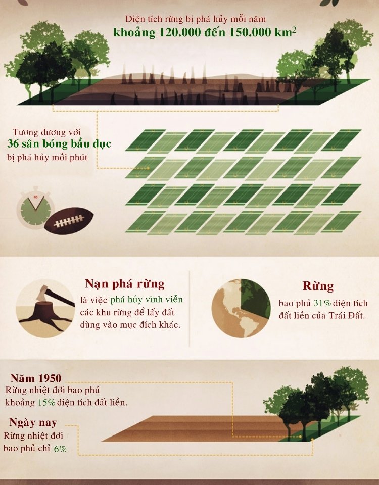 Hiện trạng phá rừng trên thế giới - KhoaHoc.tv