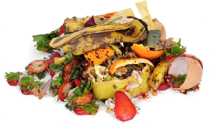 Tận dụng rác thực phẩm - sứ mệnh mới của công nghệ sinh học - KhoaHoc.tv