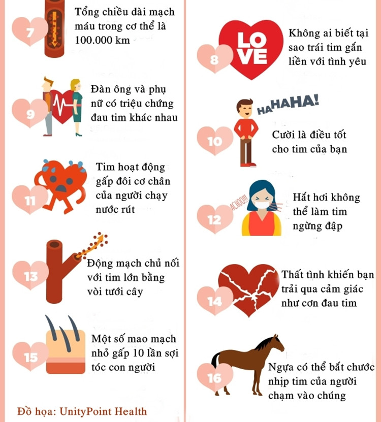 Những điều ít biết về tim người - KhoaHoc.tv