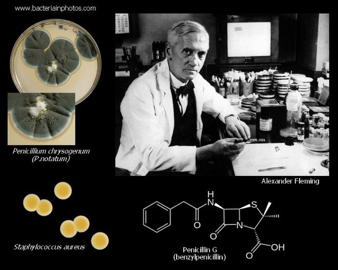 Công bố sự thật về bệnh nhân đầu tiên sử dụng kháng sinh penicillin ...