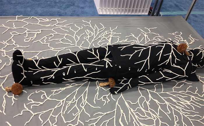 Blue burial: Turning a human body into a mushroom-growing fertilizer ...